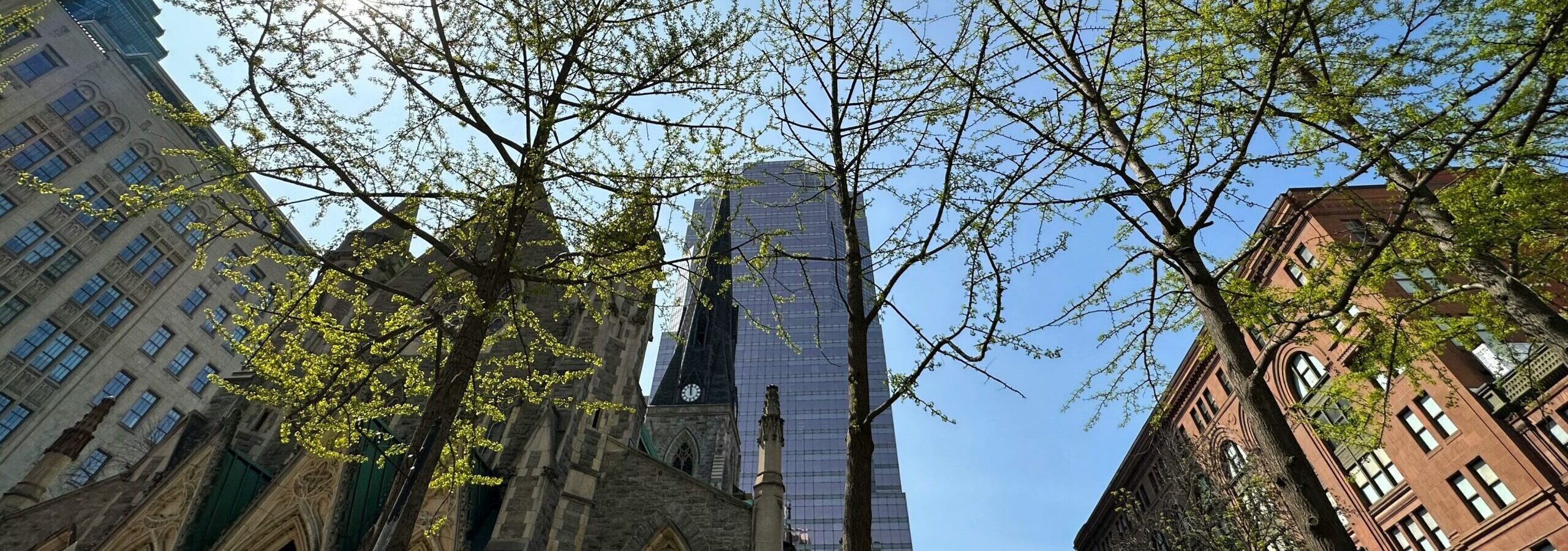 Tiree Joins Canada’s Net-Zero Challenge